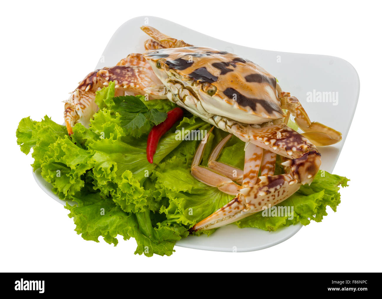 Raw red crab - ready for cooking Stock Photo - Alamy