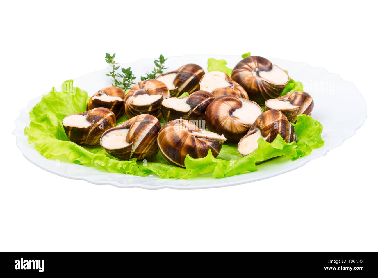 Escargot with cheese sauce Stock Photo - Alamy
