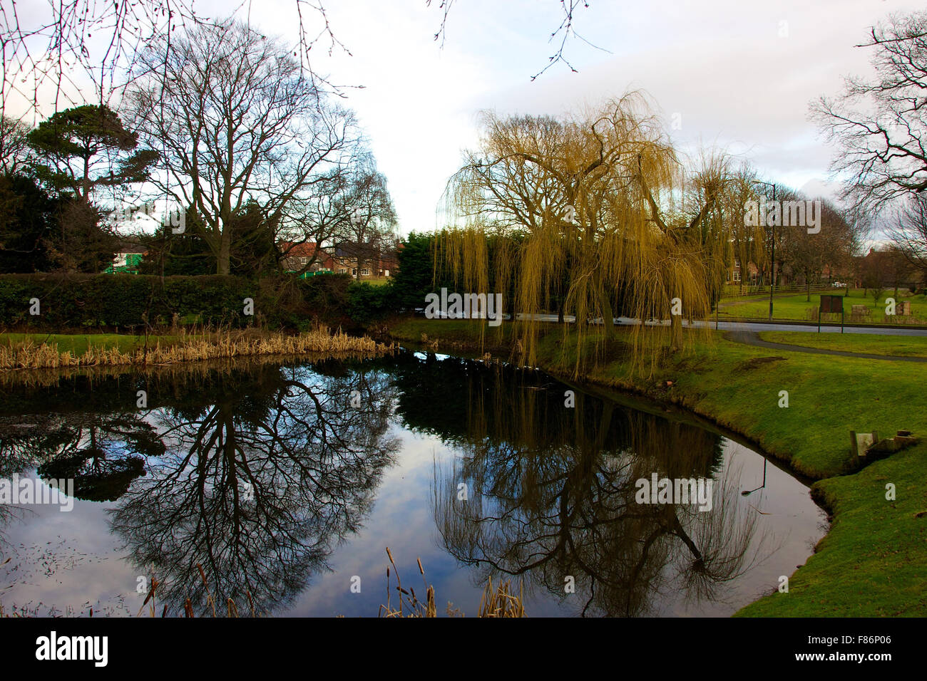 pond in yorkshire Stock Photo - Alamy