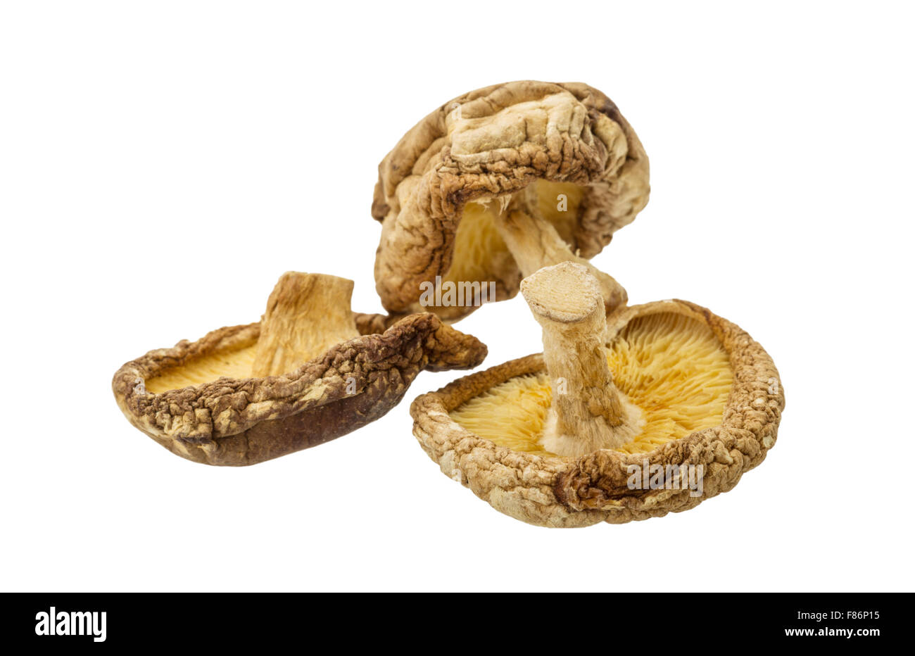 Dry asian mushroom heap isolated Stock Photo - Alamy