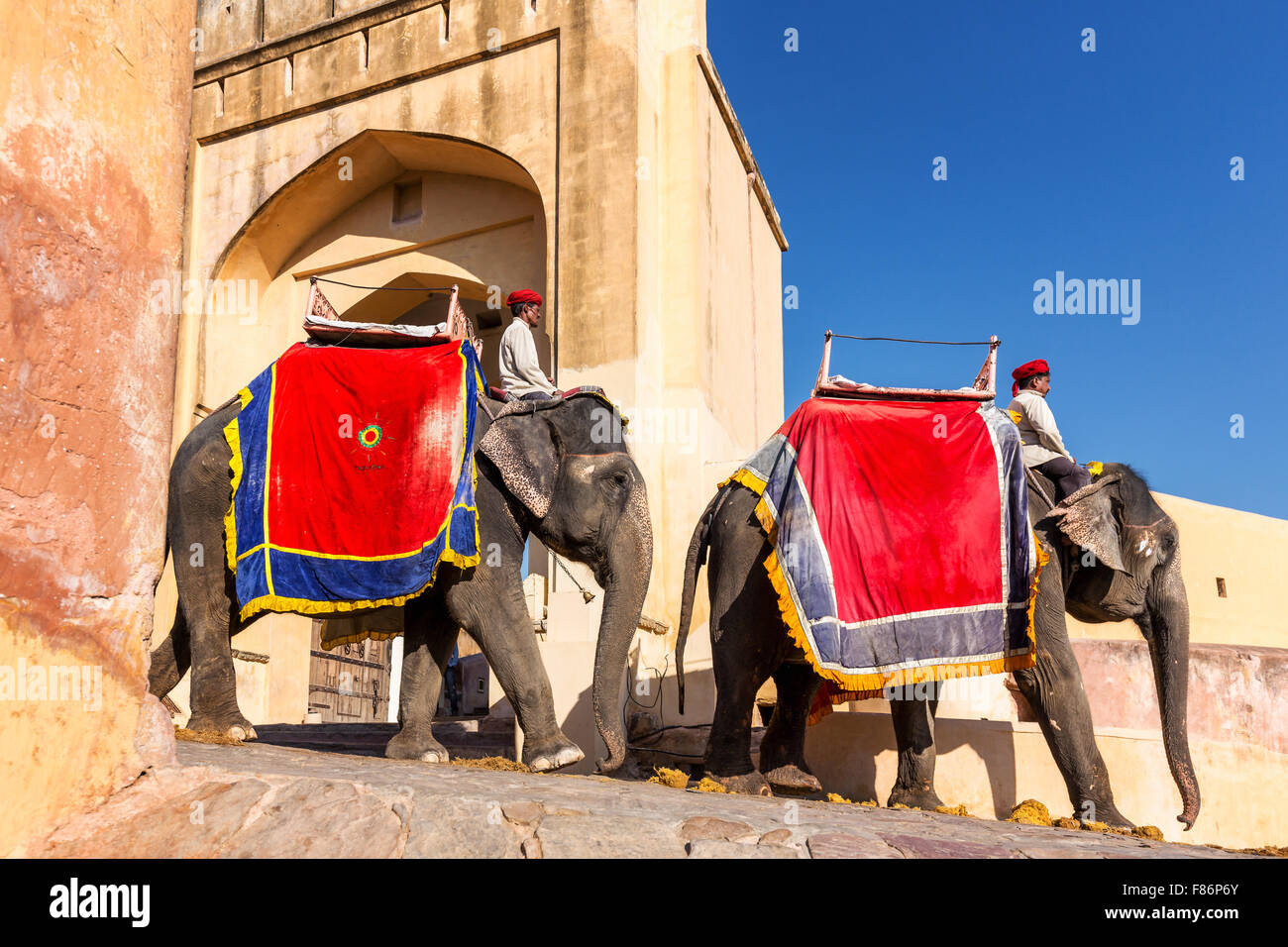 India riding elephant hi-res stock photography and images - Alamy