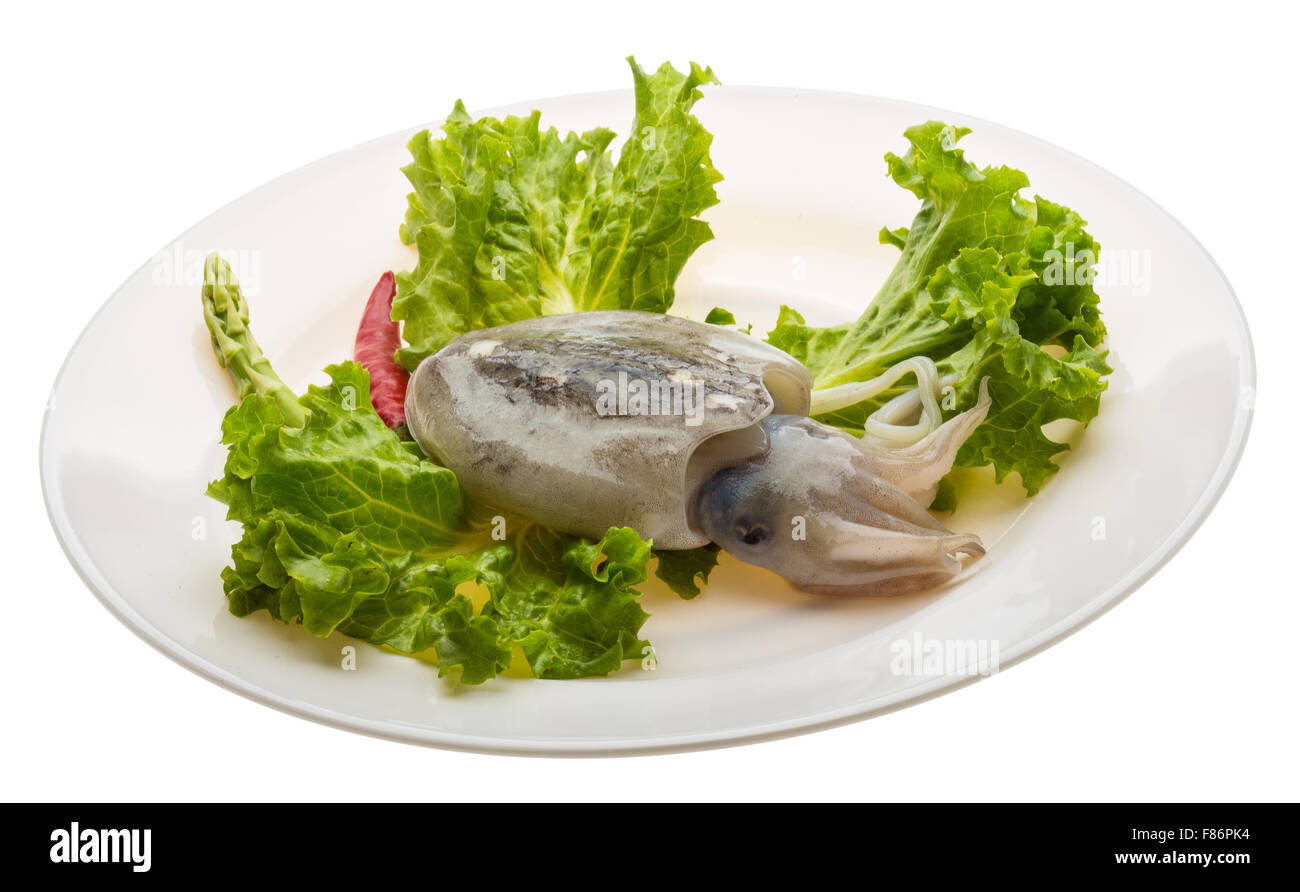 Raw cuttlefish ready for cooking Stock Photo - Alamy