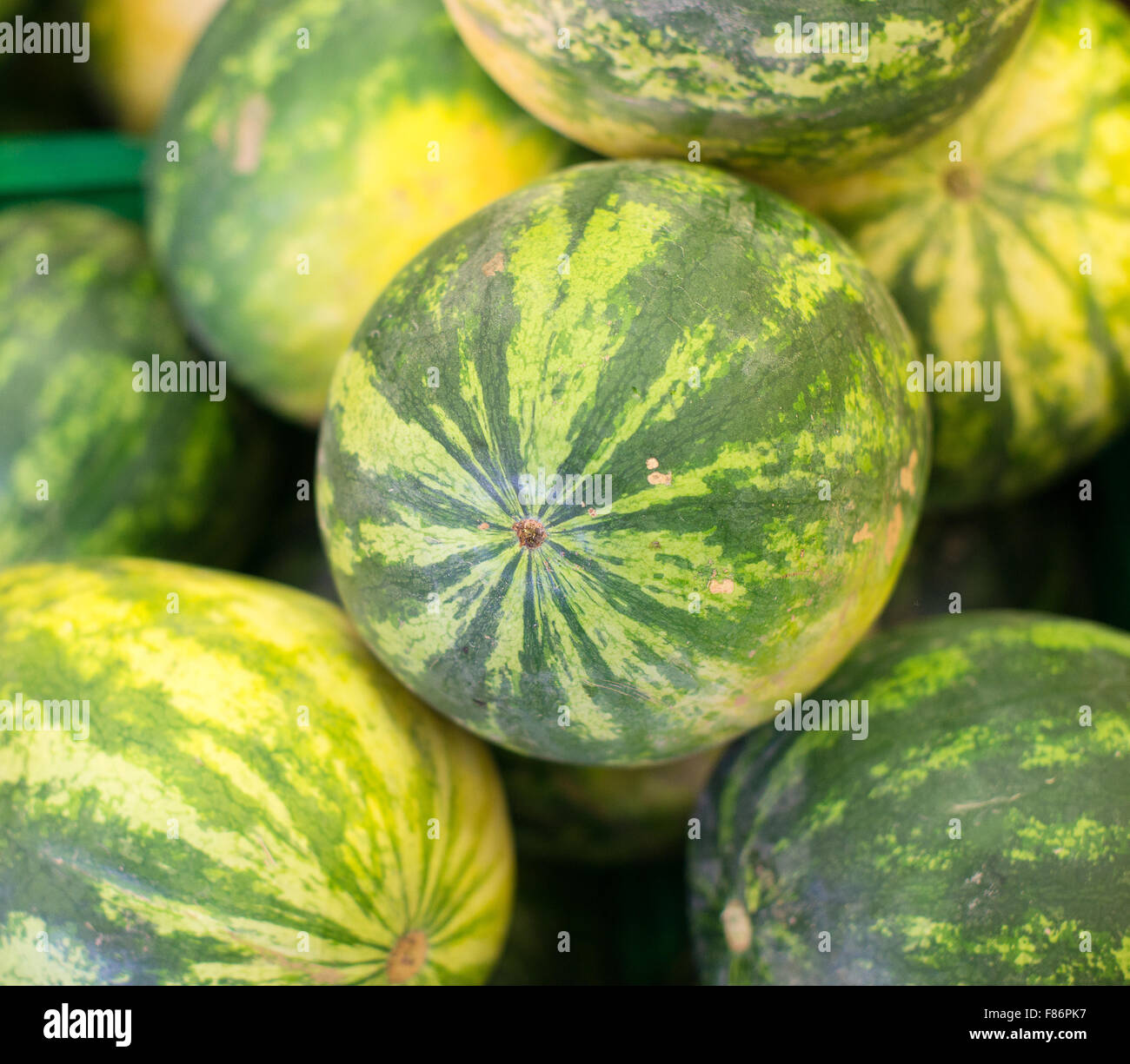 Many ripe large watermelons market hi-res stock photography and images ...