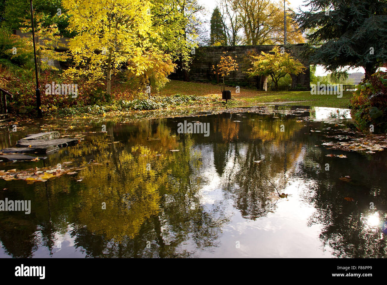Scone palace gardens and pond Stock Photo - Alamy