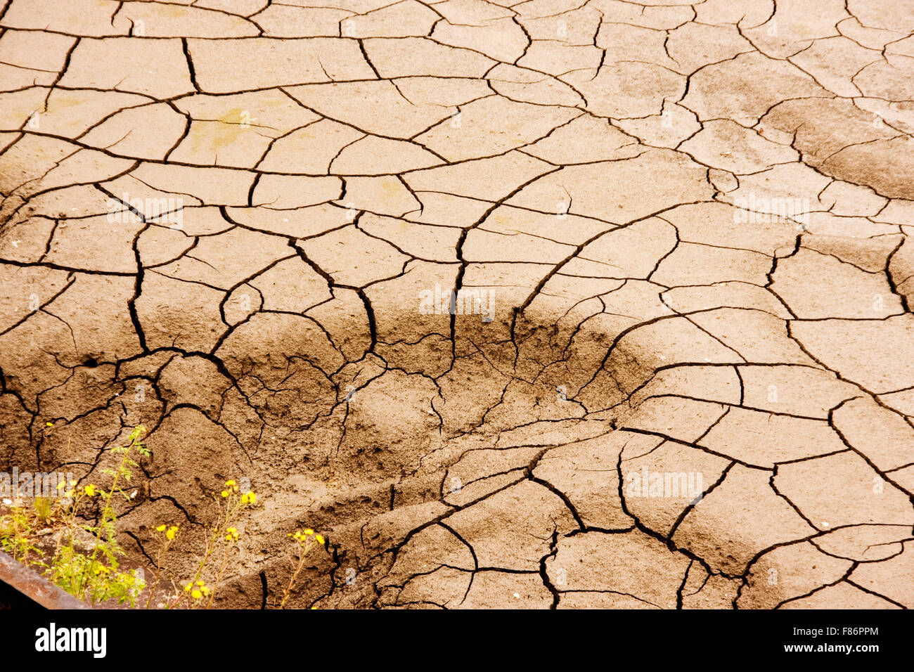 Dry cracked land in Boness Scotland Stock Photo - Alamy
