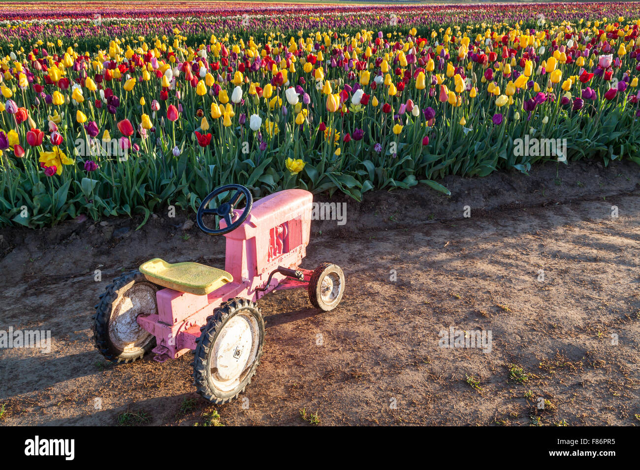 Pink toy tractor hi-res stock photography and images - Alamy
