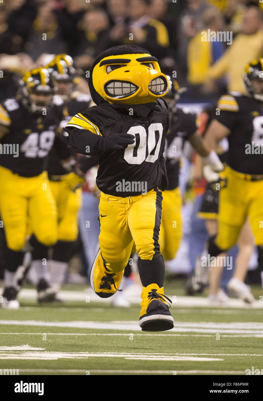 Iowa hawkeyes mascot hi-res stock photography and images - Alamy