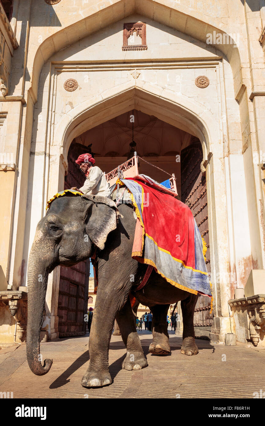 Elephant gate india hi-res stock photography and images - Alamy