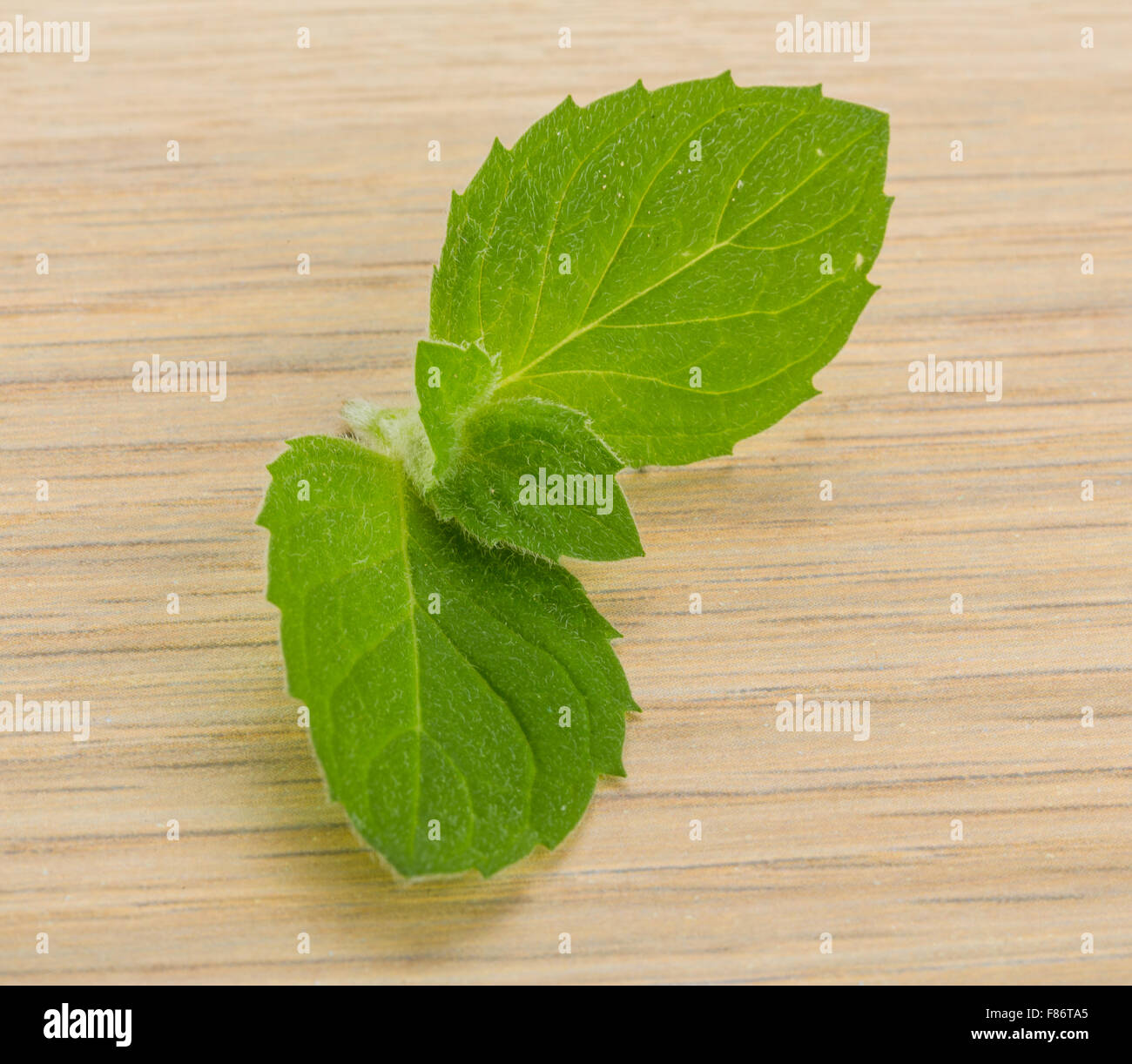 Pepper mint leaves on the desk Stock Photo - Alamy