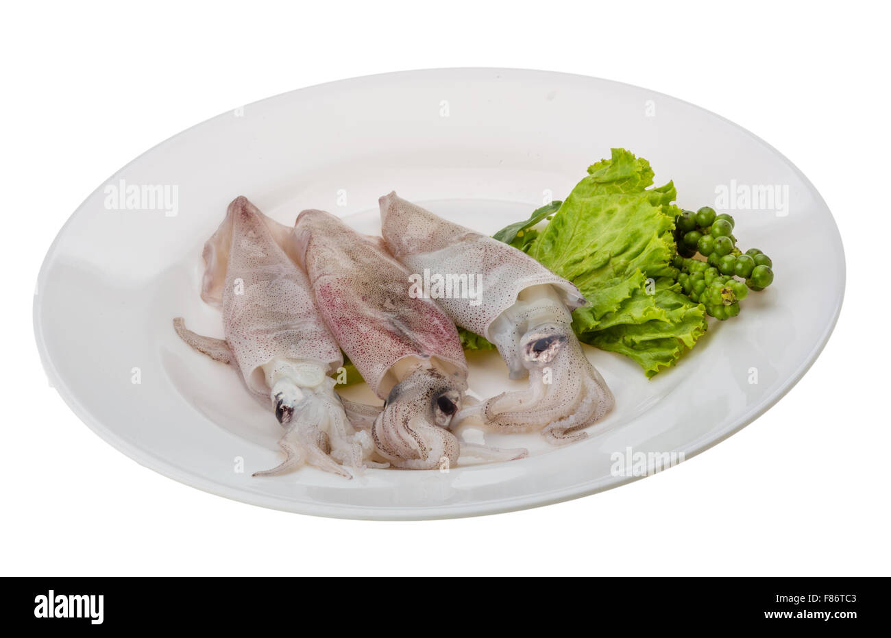 Raw calamari isolated on white background Stock Photo - Alamy