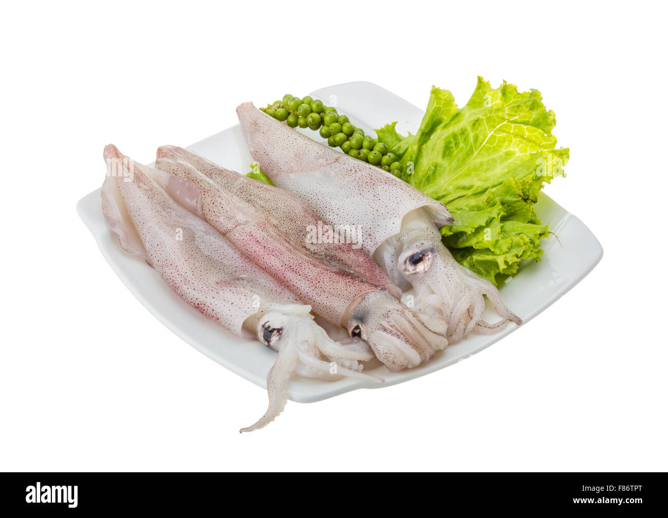 Raw calamari isolated on white background Stock Photo - Alamy
