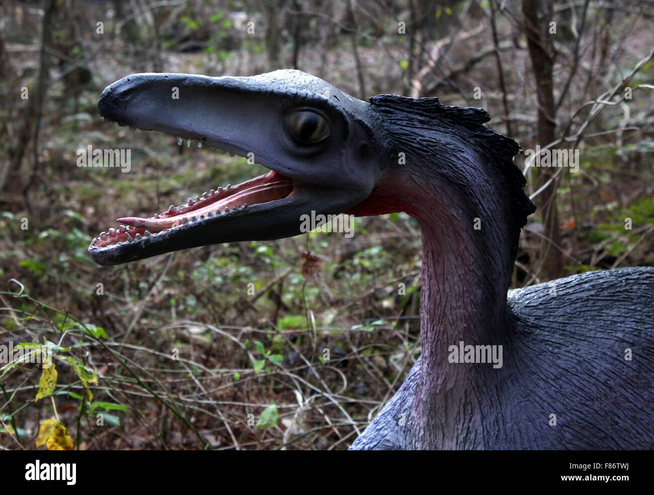 Troodon Dinosaur Revolution