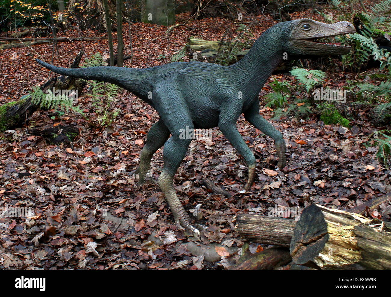 Velociraptor dinosaur hi-res stock photography and images - Alamy