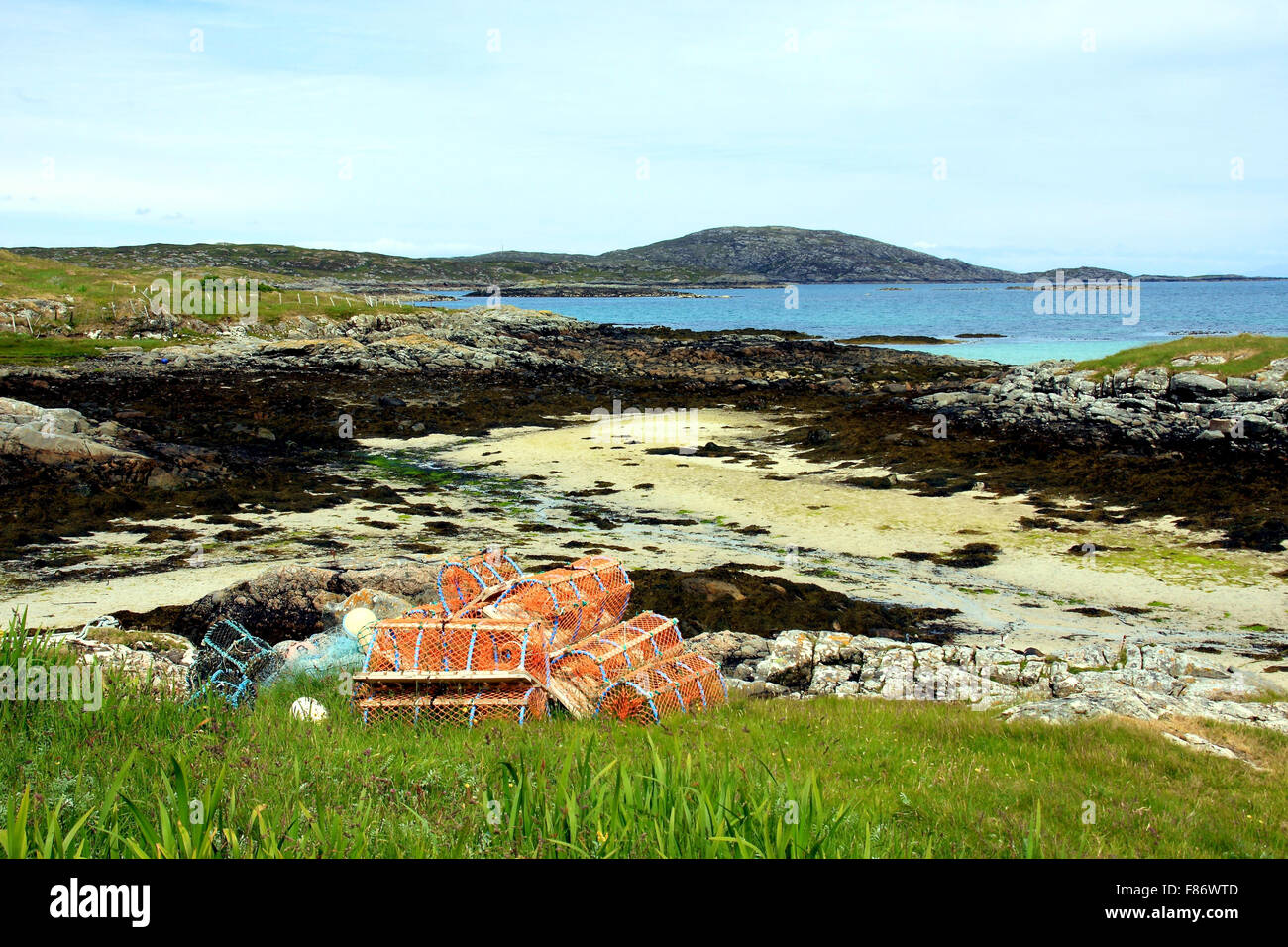 Barra lobster hi-res stock photography and images - Alamy