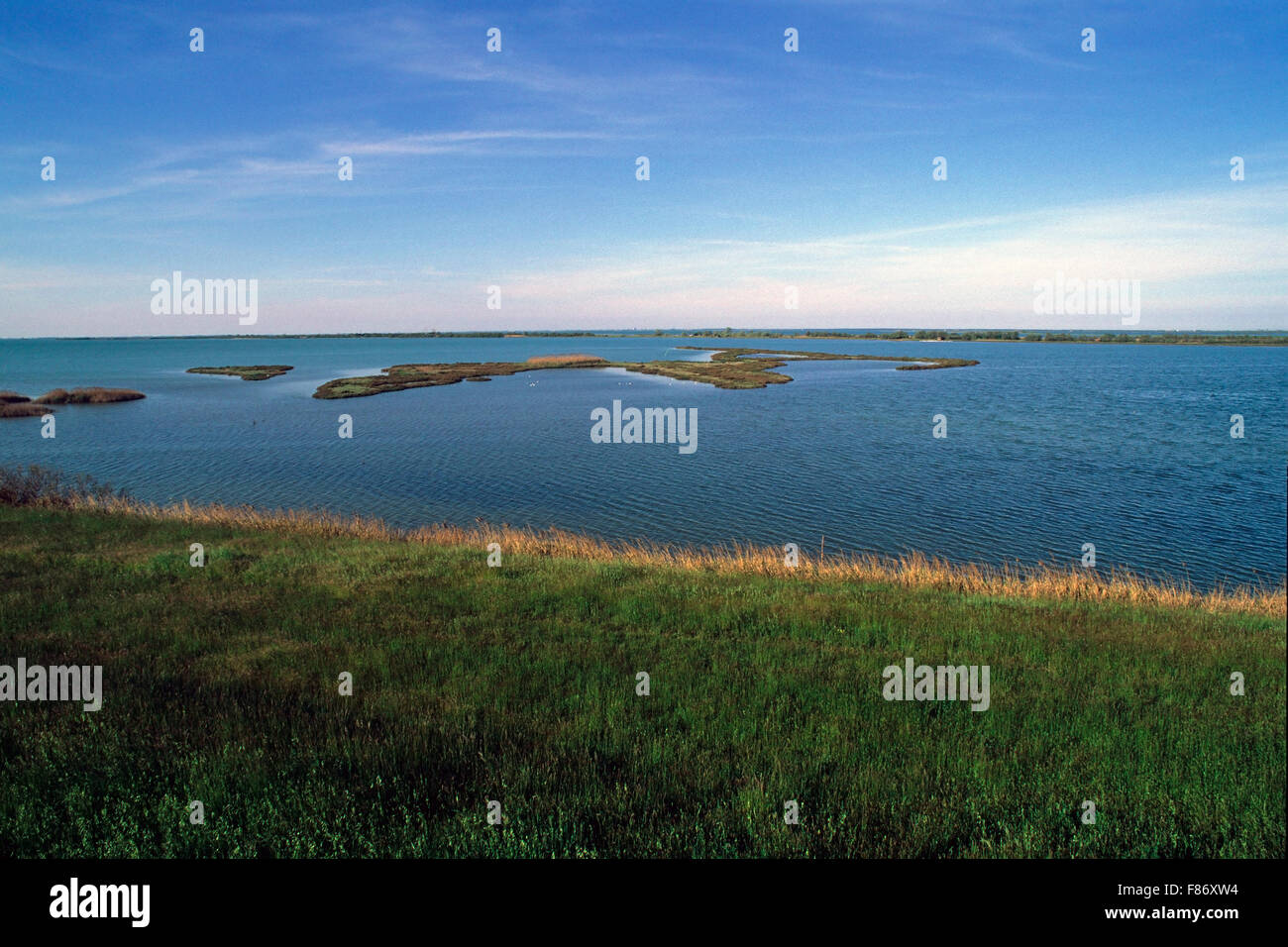 Regional park of the po delta hi-res stock photography and images - Alamy