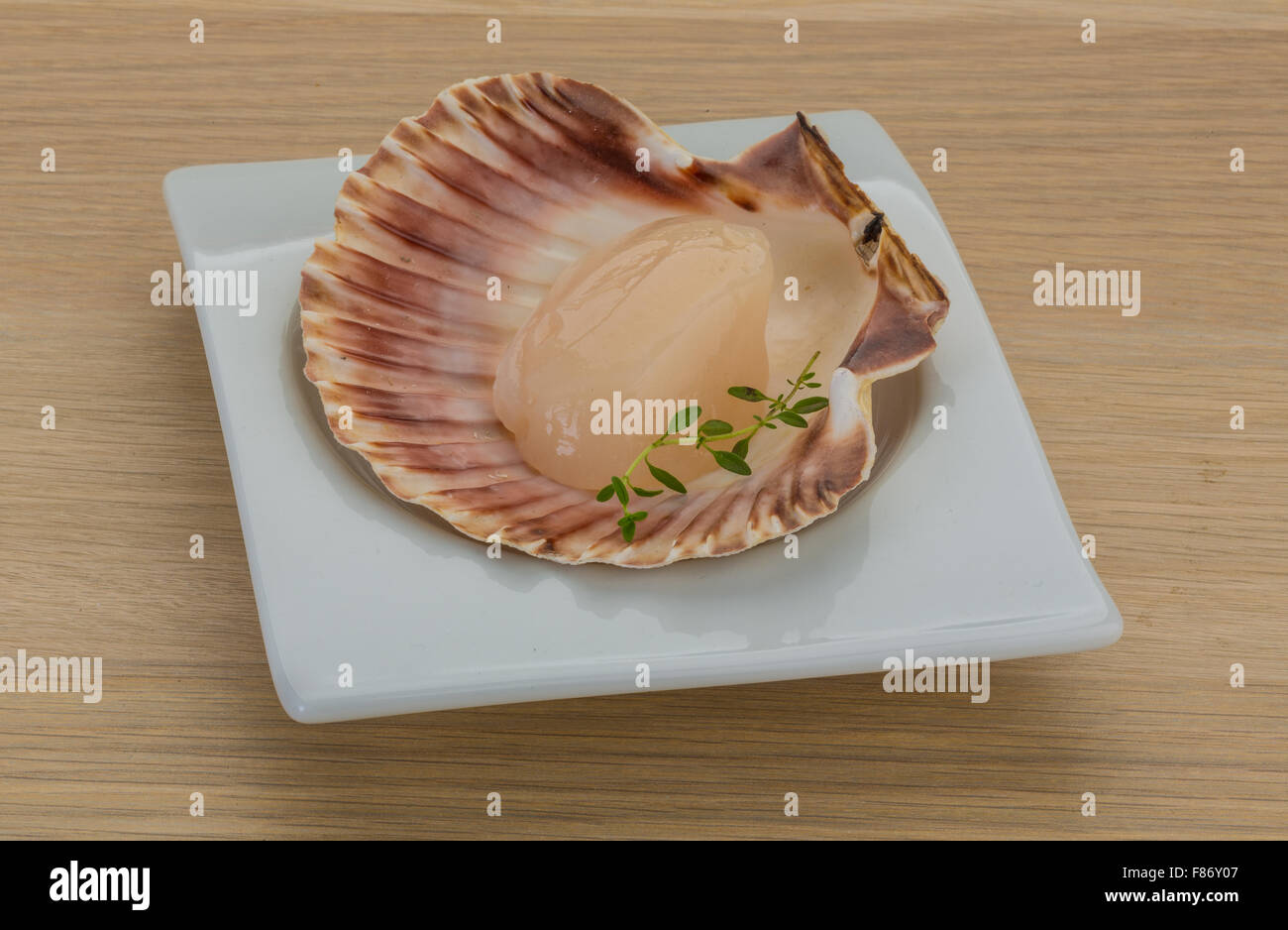 Raw scallops in the shell Stock Photo - Alamy
