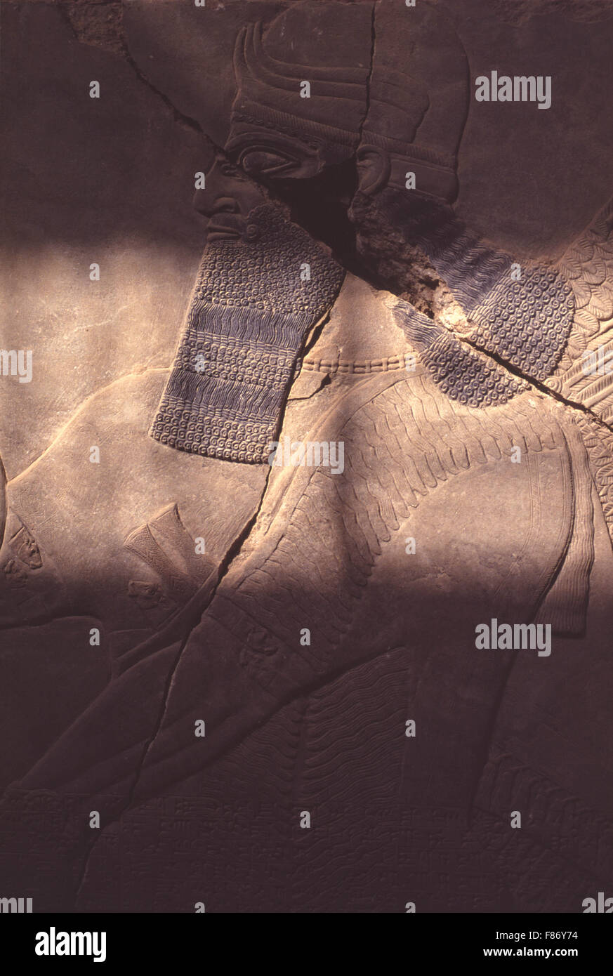 Carved stone reliefs, stele and cuneiform inscriptions at the Royal ...