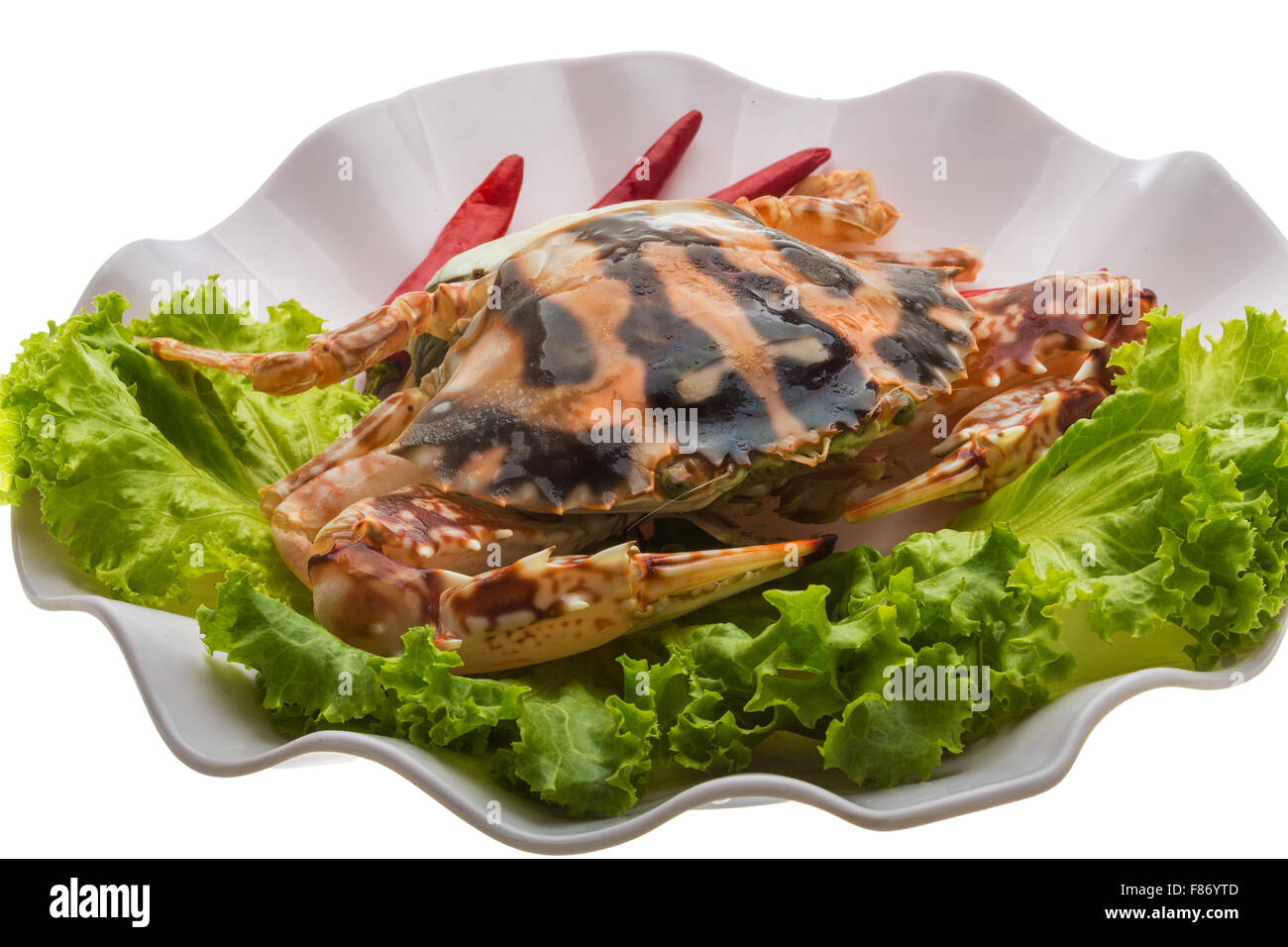 Red crab isolated on white Stock Photo - Alamy