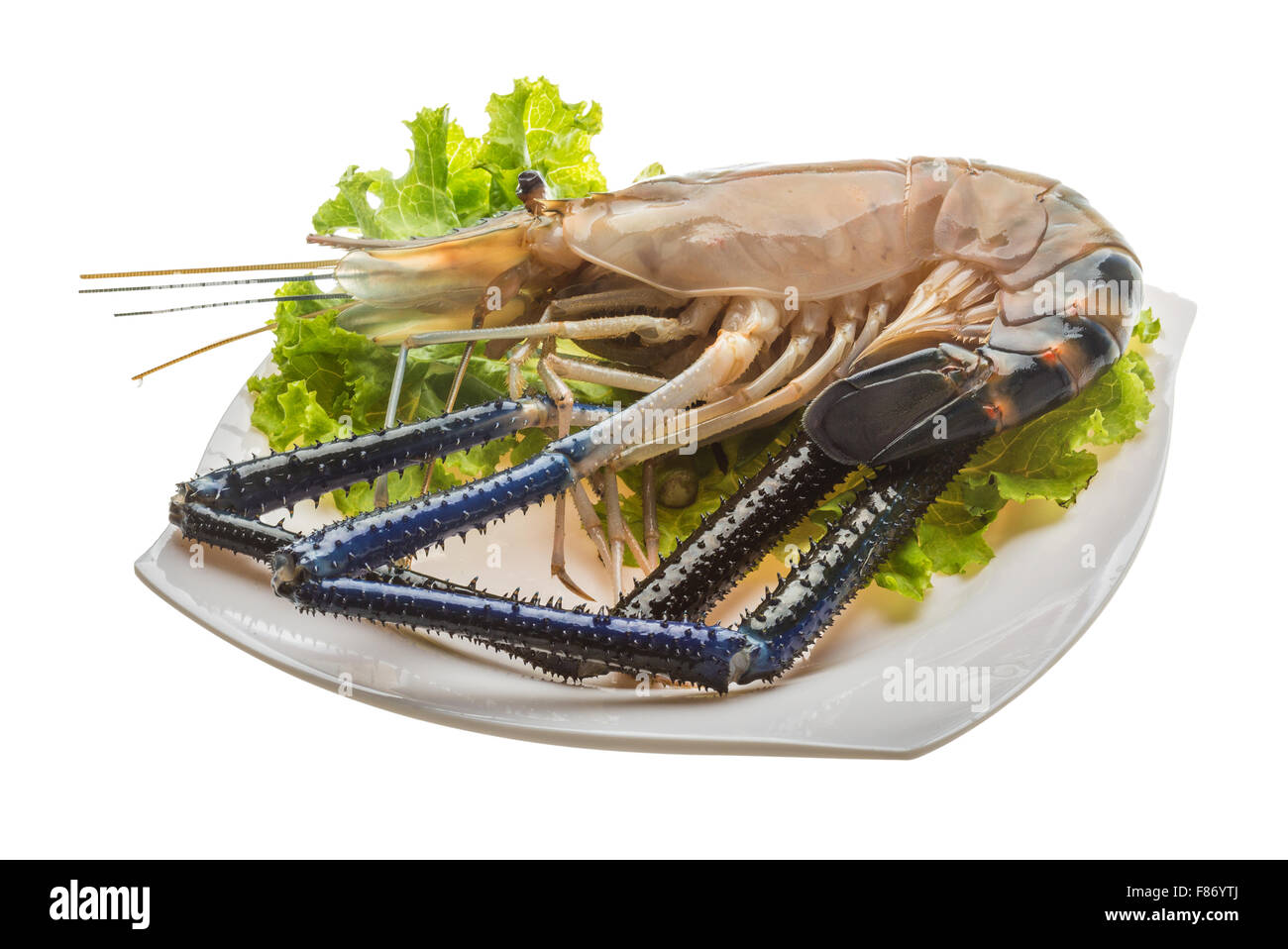 Big Freshwater prawn ready for cooking Stock Photo - Alamy