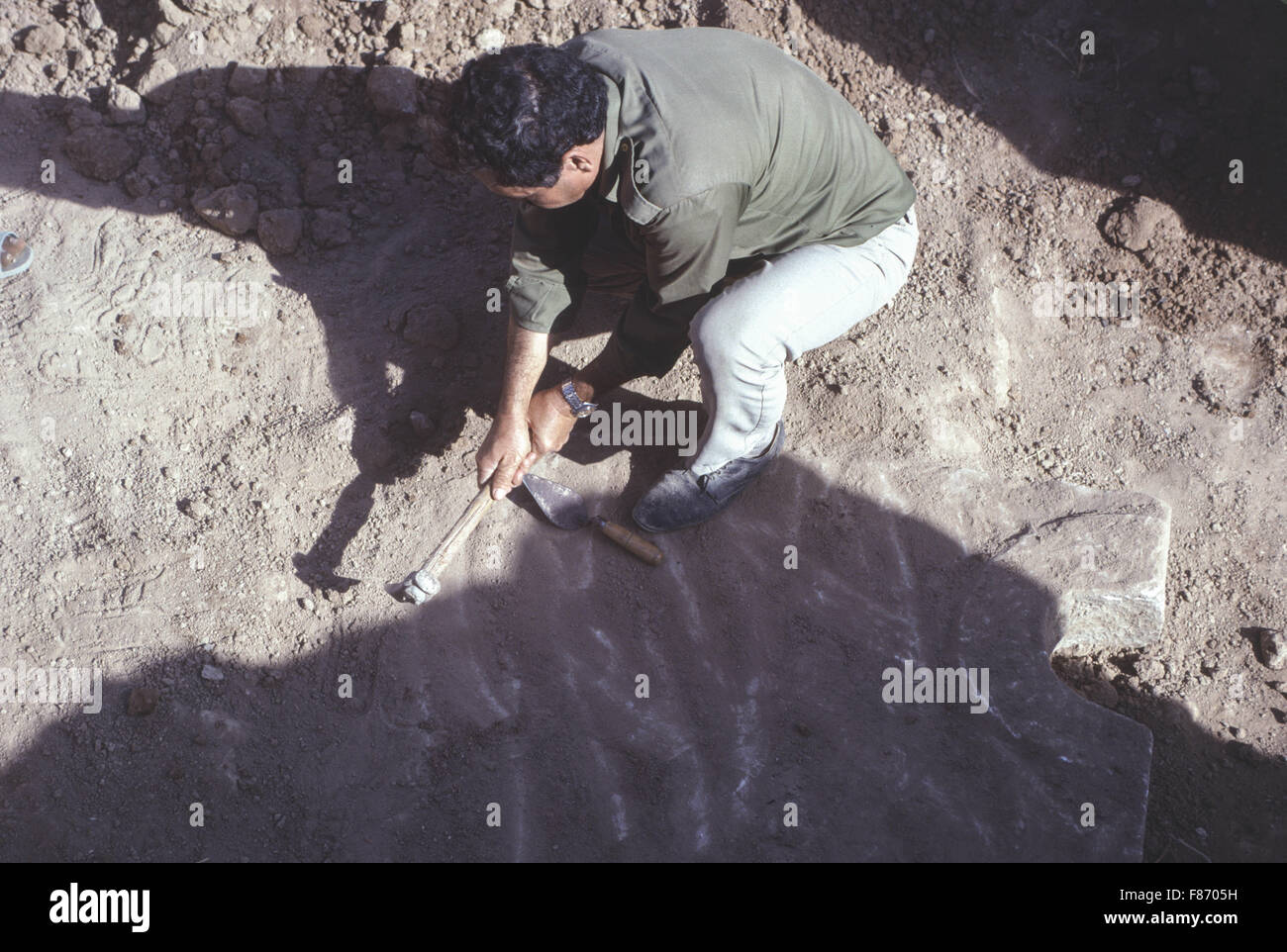 Archaelogical excavations being conducted by the British Museum at the ...