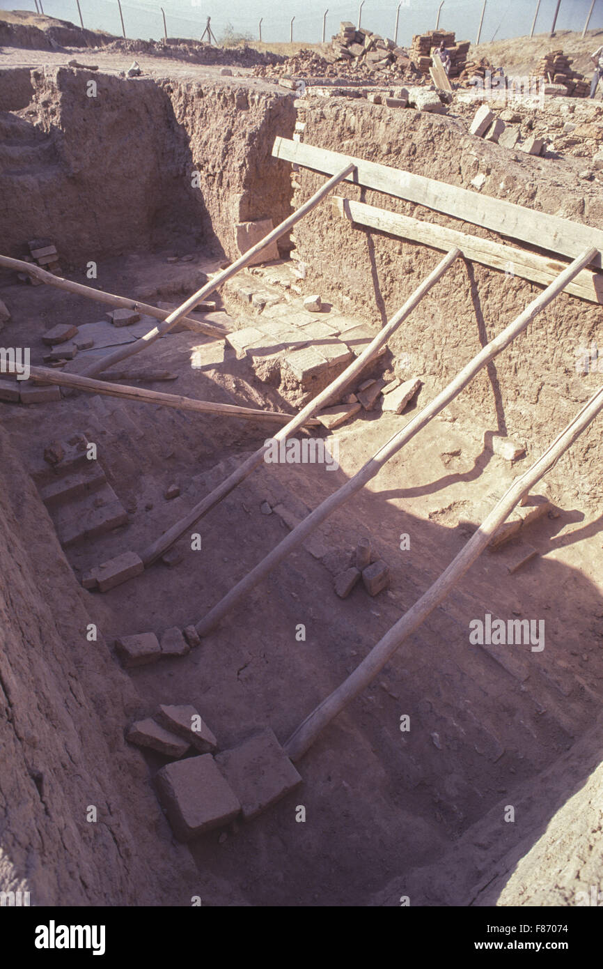 The pit that led Iraqi archaeologist Muzahem Mahmoud to the discovery ...