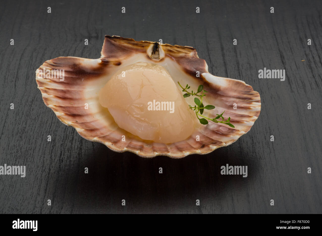 Raw scallops in the shell Stock Photo - Alamy