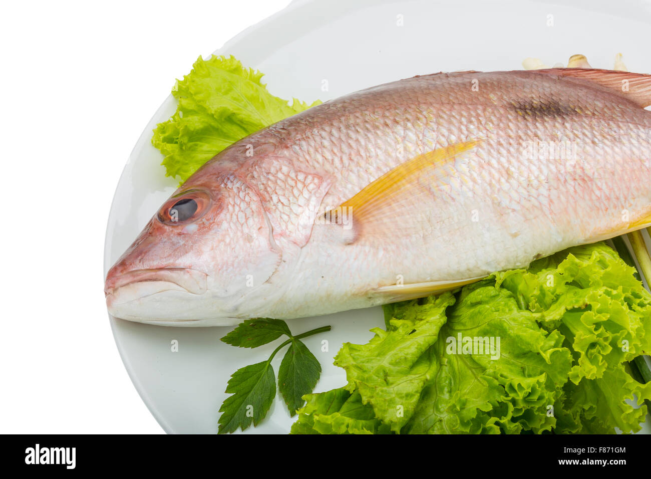 Raw red snapper with salad leaves Stock Photo - Alamy