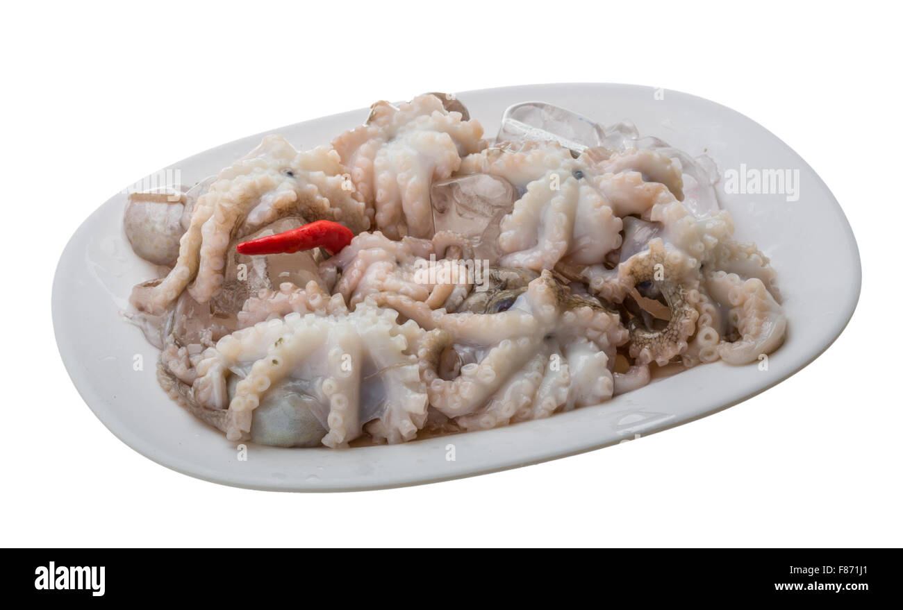 Raw fresh octopus isolated on white Stock Photo - Alamy