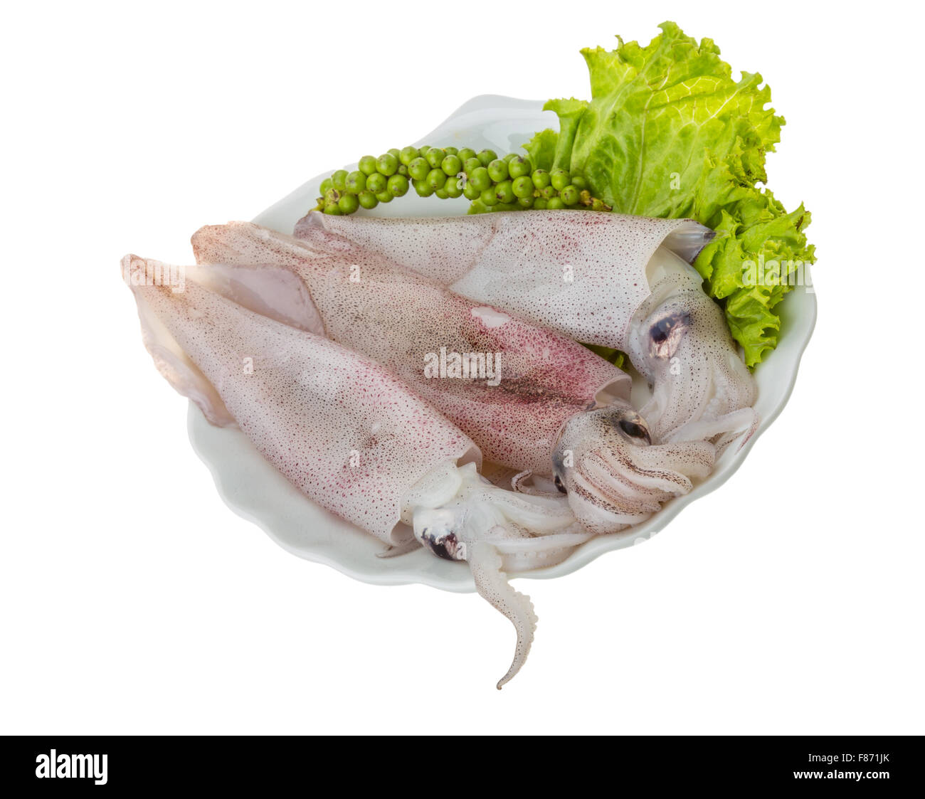 Raw calamari isolated on white background Stock Photo - Alamy
