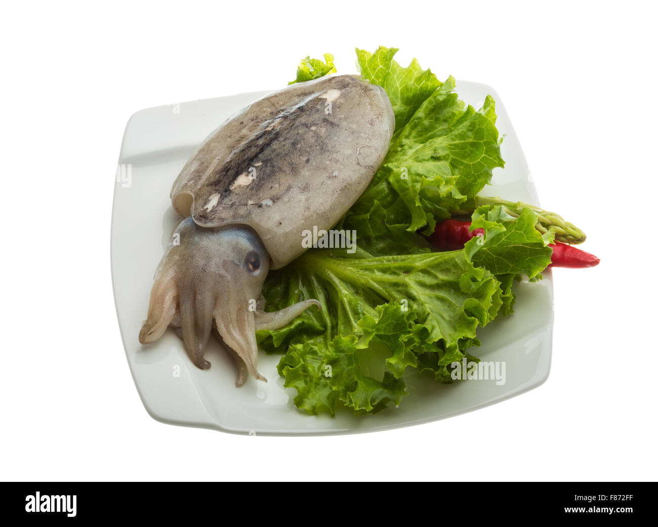 Raw cuttlefish ready for cooking Stock Photo - Alamy