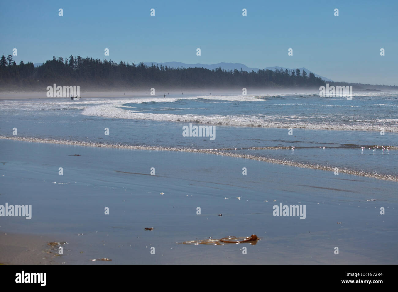 Pacific rim national park vancouver hi-res stock photography and images ...