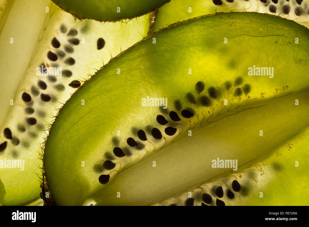 exotic kiwi fruit backlit in studio cut cross and longitudinal sections ...