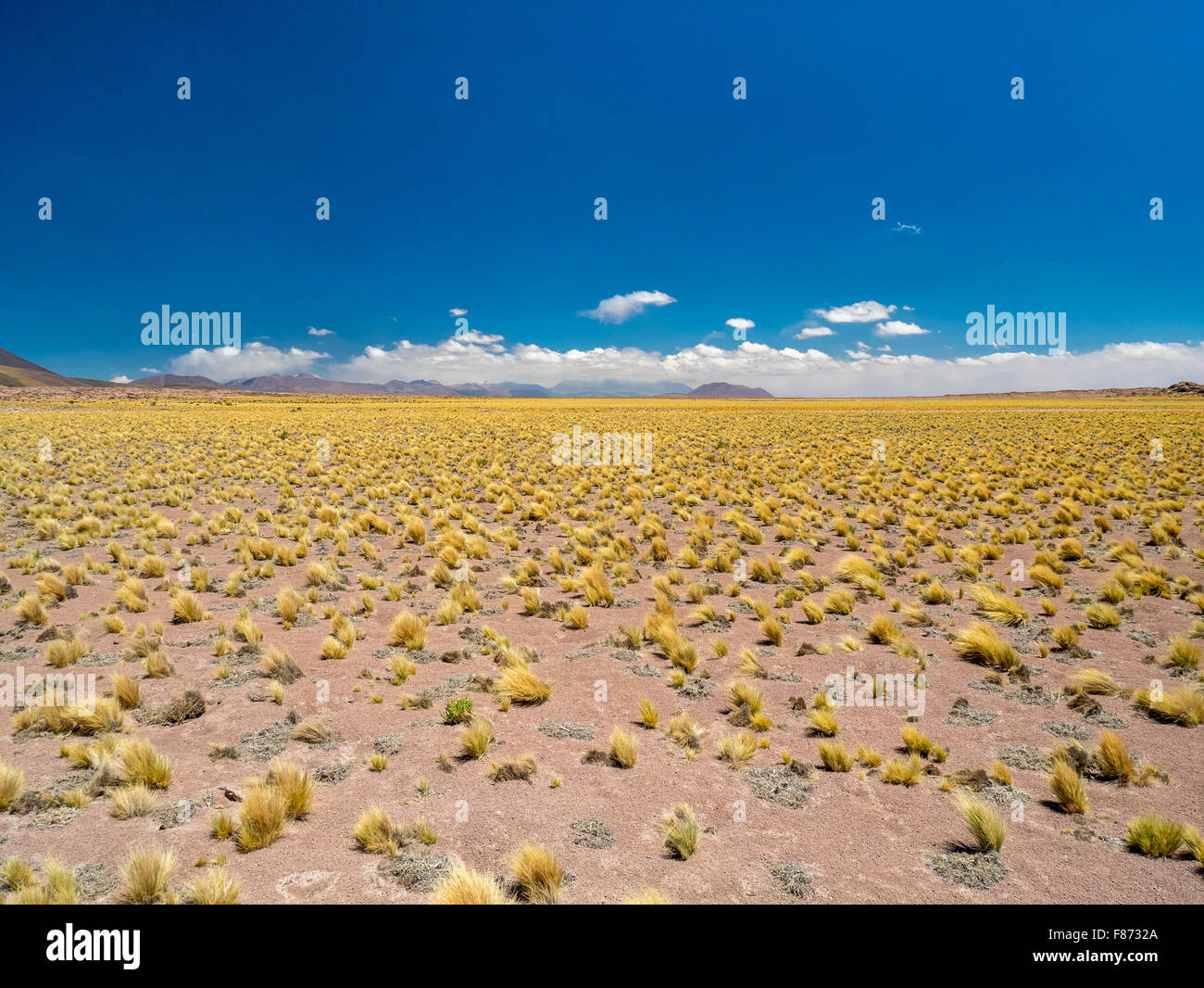 Atacam desert hi-res stock photography and images - Alamy