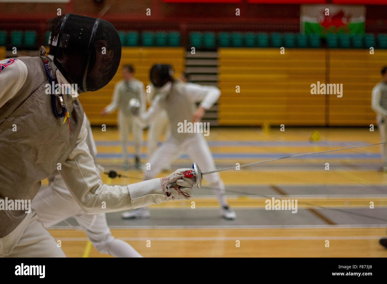 Welsh fencing hi-res stock photography and images - Alamy