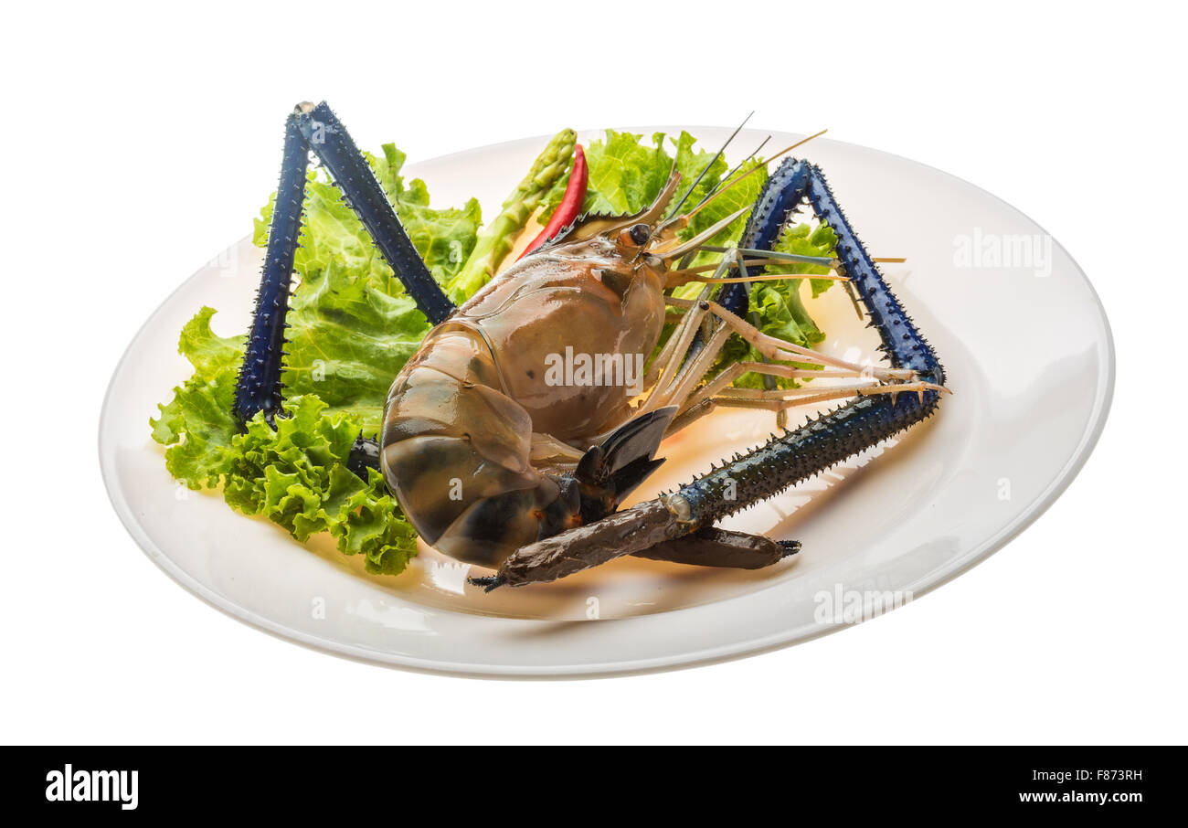 Big Freshwater prawn ready for cooking Stock Photo - Alamy
