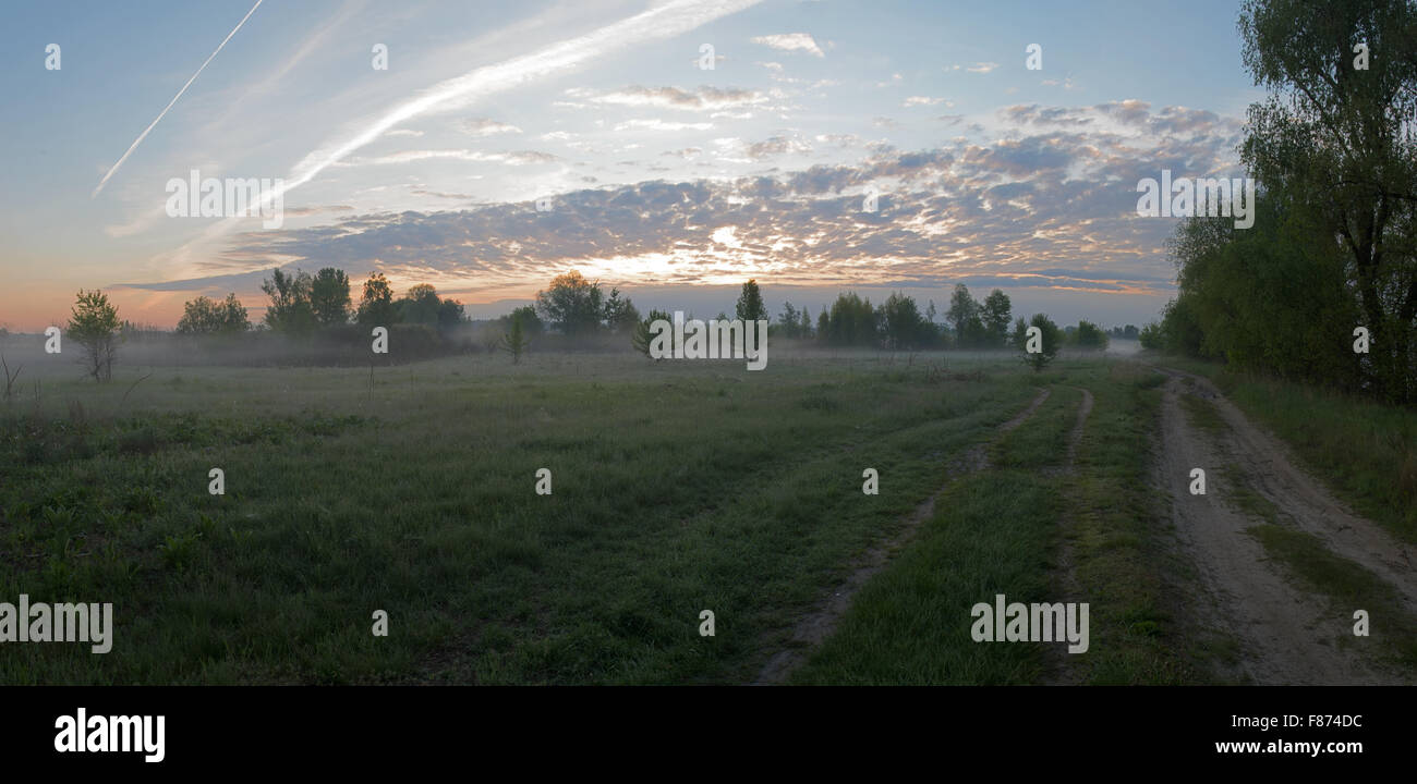 Morning mist over the meadow on a summer day Stock Photo - Alamy