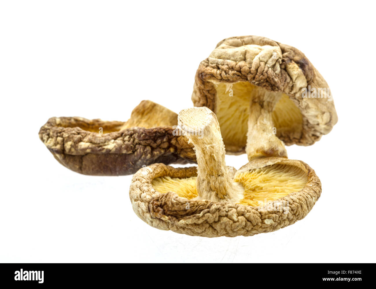 Dry asian mushroom heap isolated Stock Photo - Alamy