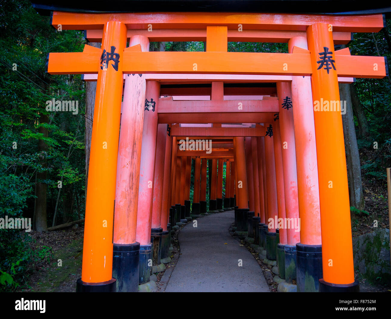 Iconic Senbon torii at Fushimi Inari Taisha, Kyoto ,Japan Stock Photo ...