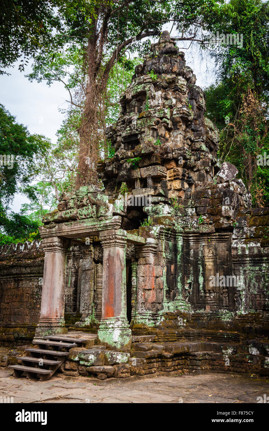 Ruins of Pra Khan Temple in Angkor Thom of Cambodia Stock Photo - Alamy