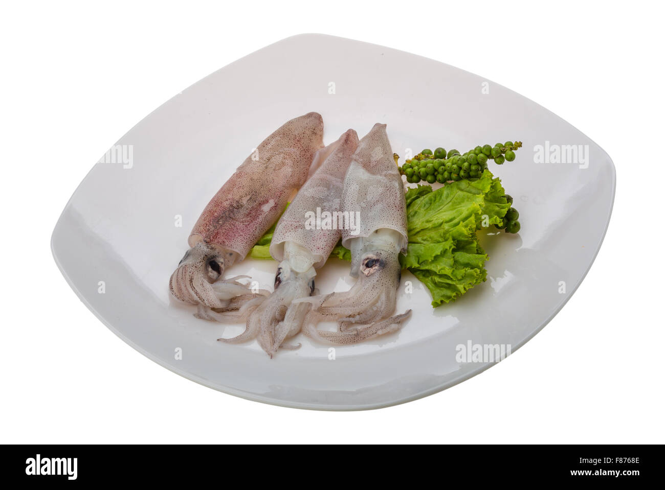 Raw calamari isolated on white background Stock Photo - Alamy