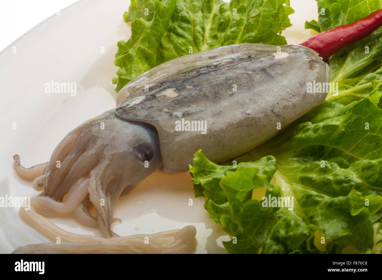 Raw cuttlefish ready for cooking Stock Photo - Alamy