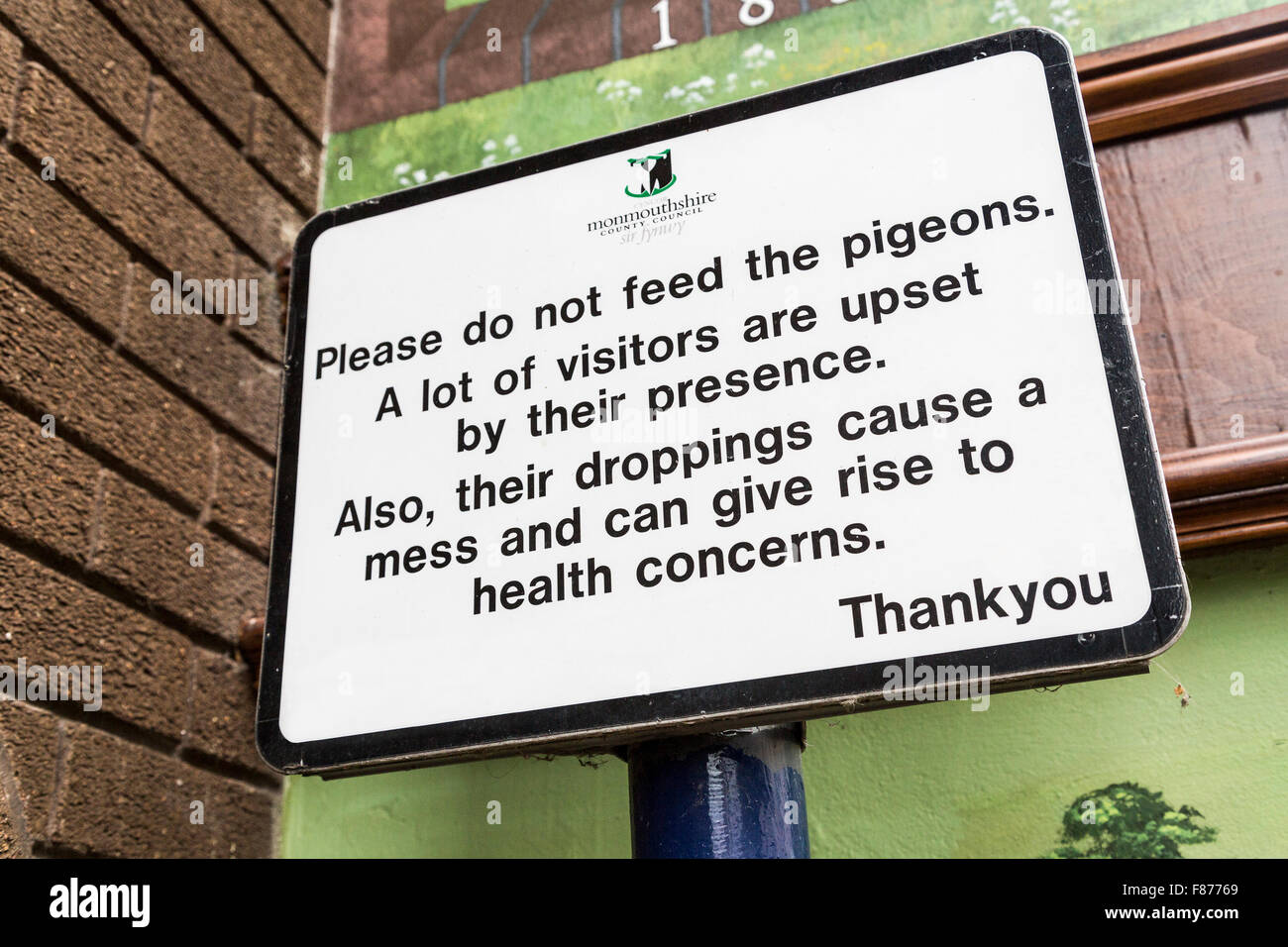 Pigeons uk hi-res stock photography and images - Alamy