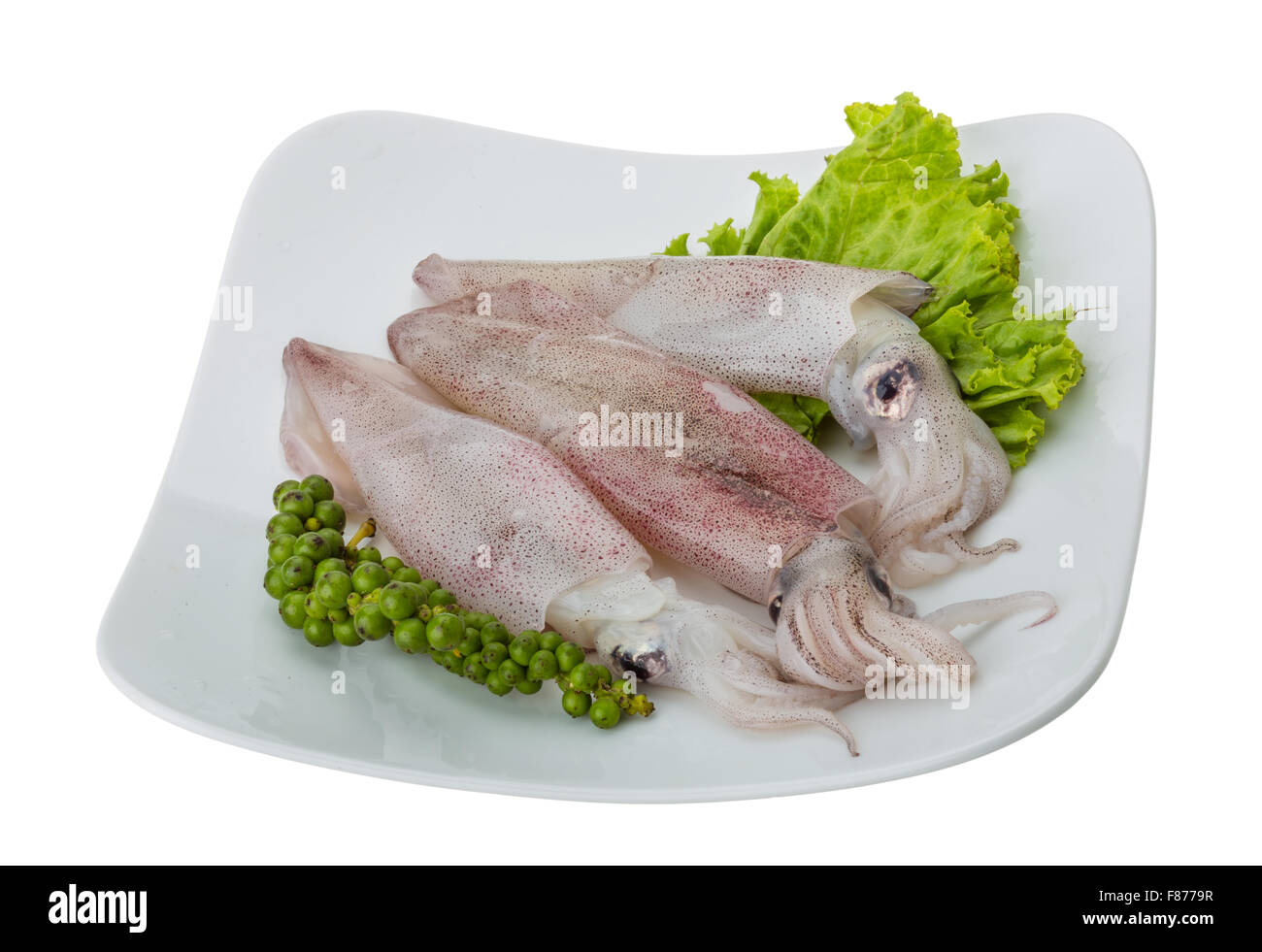 Raw calamari isolated on white background Stock Photo - Alamy