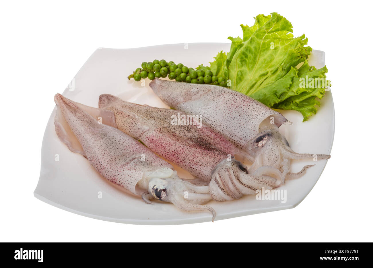 Raw calamari isolated on white background Stock Photo - Alamy
