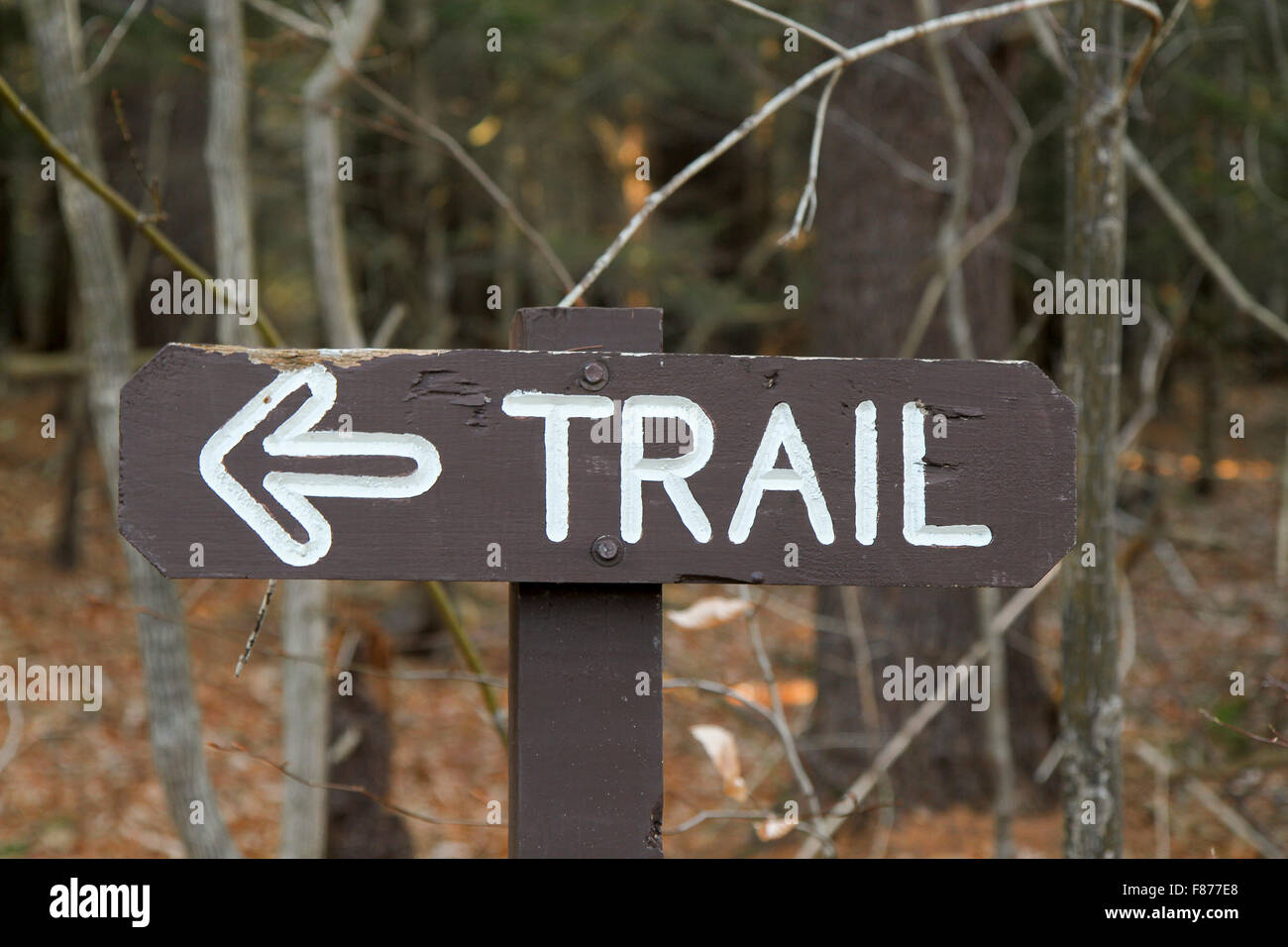 Sign in Mohawk Trail State Forest, Massachusetts Stock Photo - Alamy