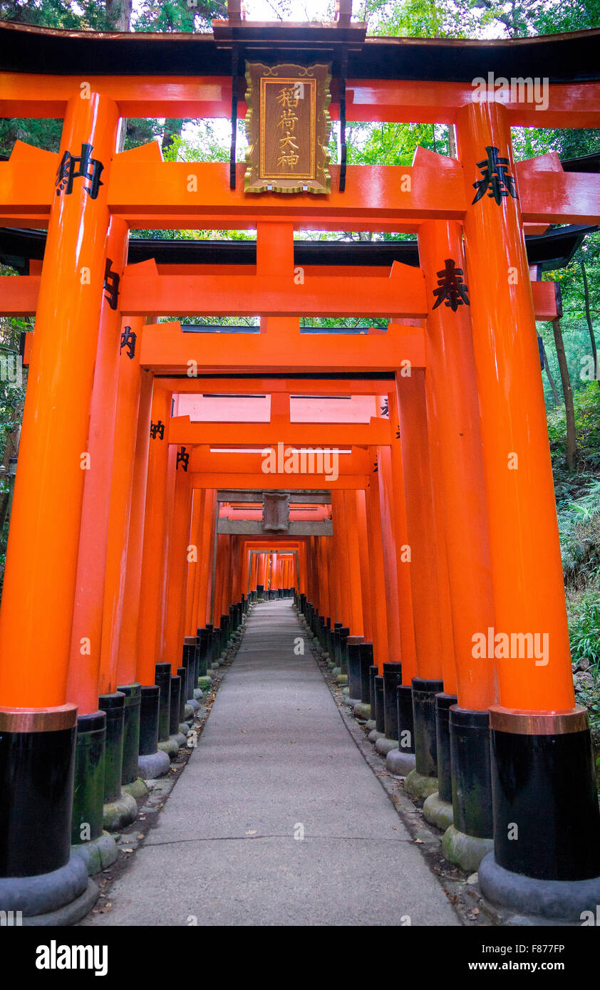 Iconic Senbon torii at Fushimi Inari Taisha, Kyoto ,Japan Stock Photo ...