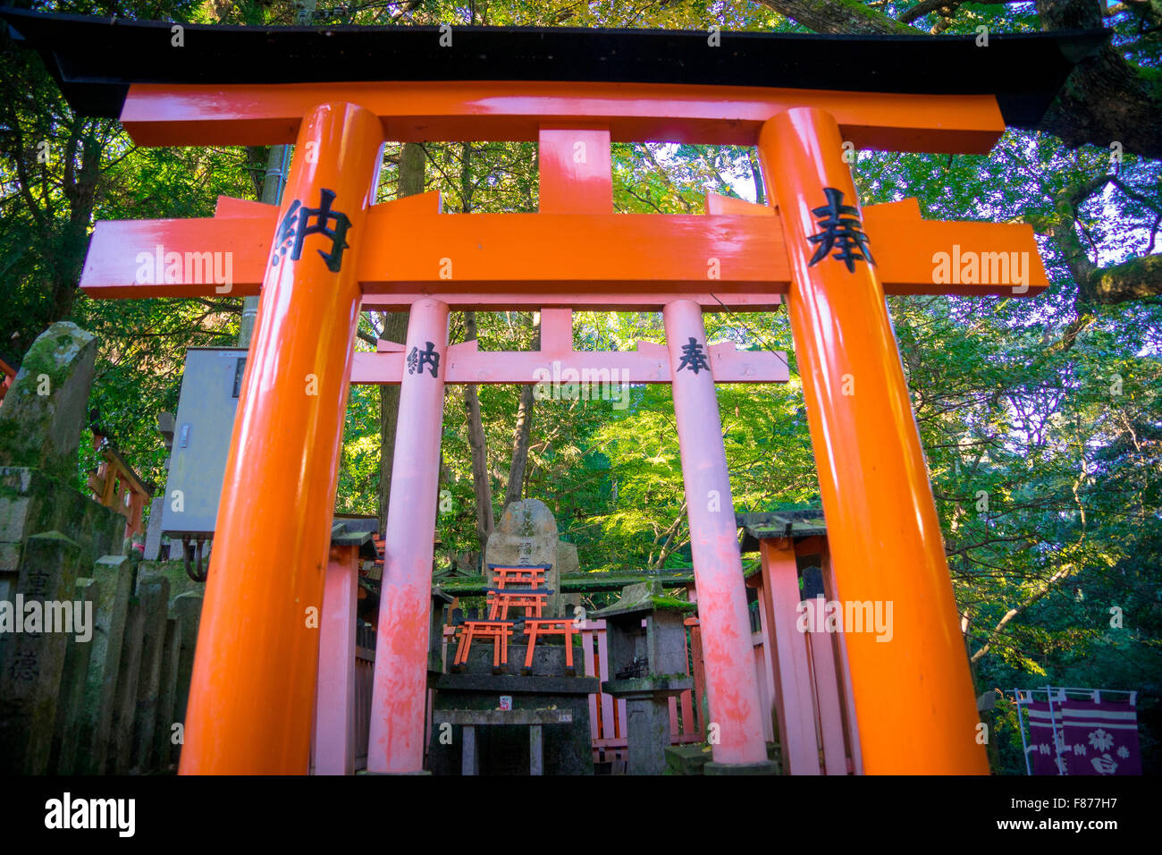 Iconic Senbon torii at Fushimi Inari Taisha, Kyoto ,Japan Stock Photo ...