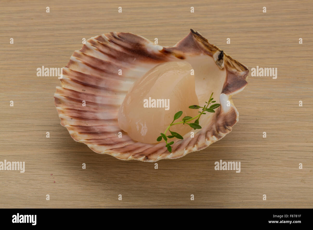 Raw scallops in the shell Stock Photo - Alamy