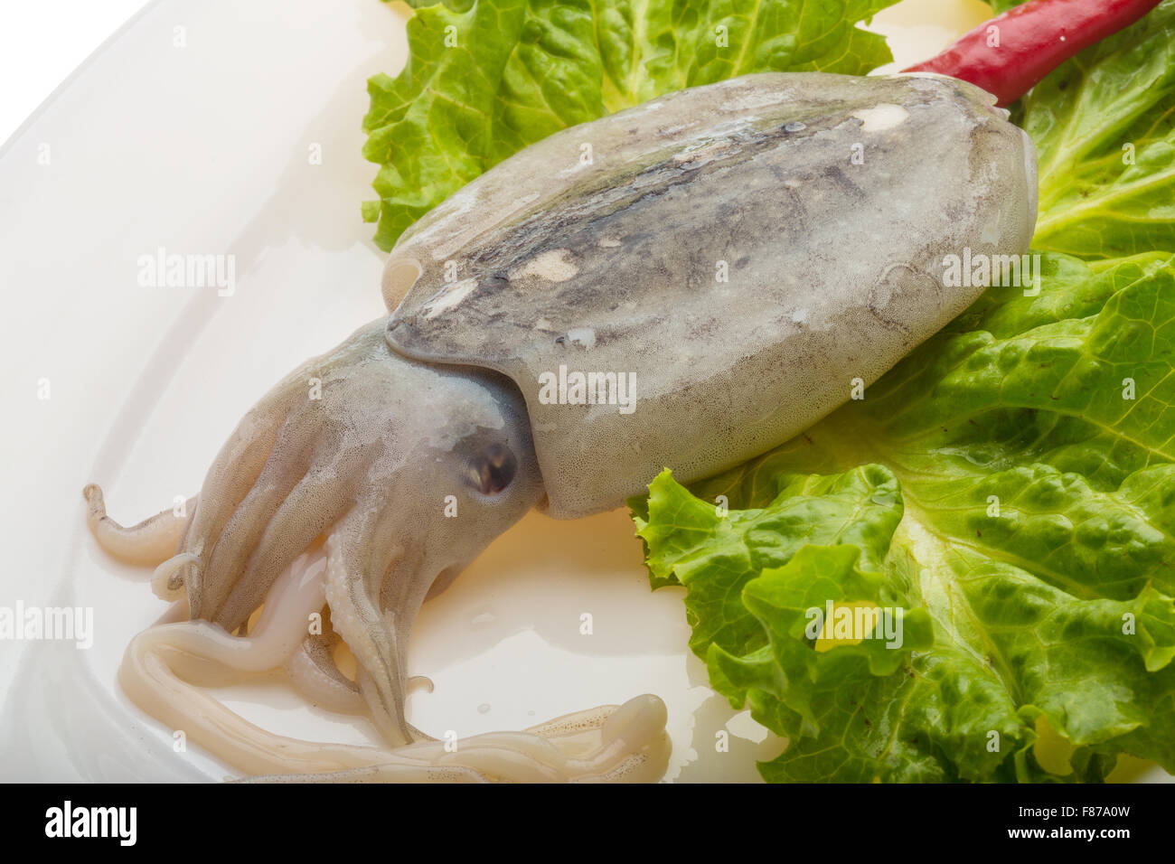 Raw cuttlefish ready for cooking Stock Photo - Alamy