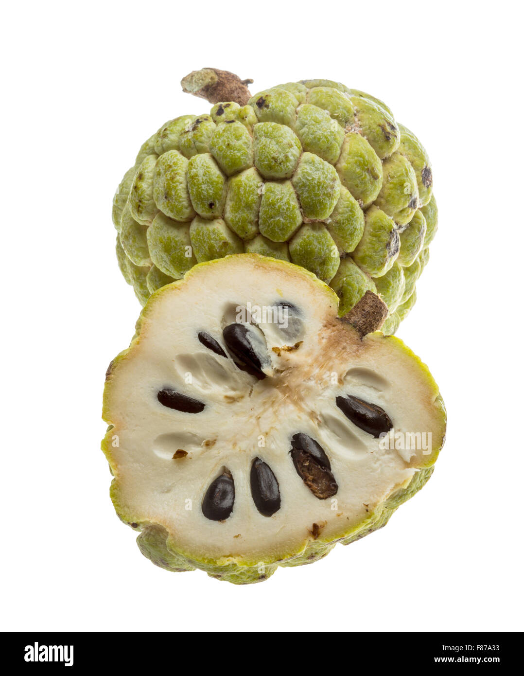 Asian famous Noni fruit isolated Stock Photo - Alamy